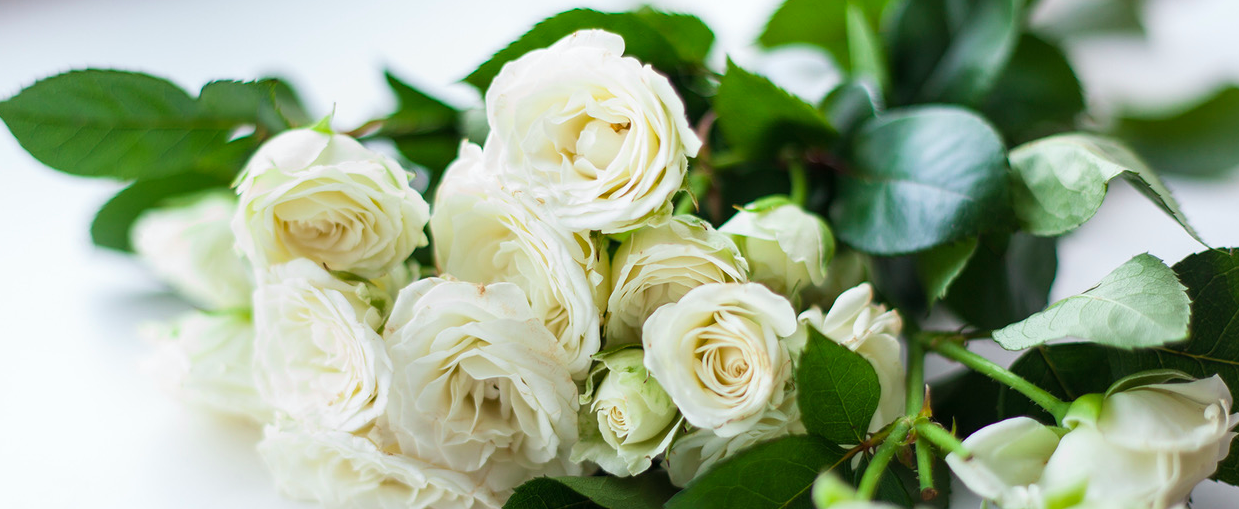 Understanding the Four Levels of Hospice Care: A Guide for Families - DFS Memorials